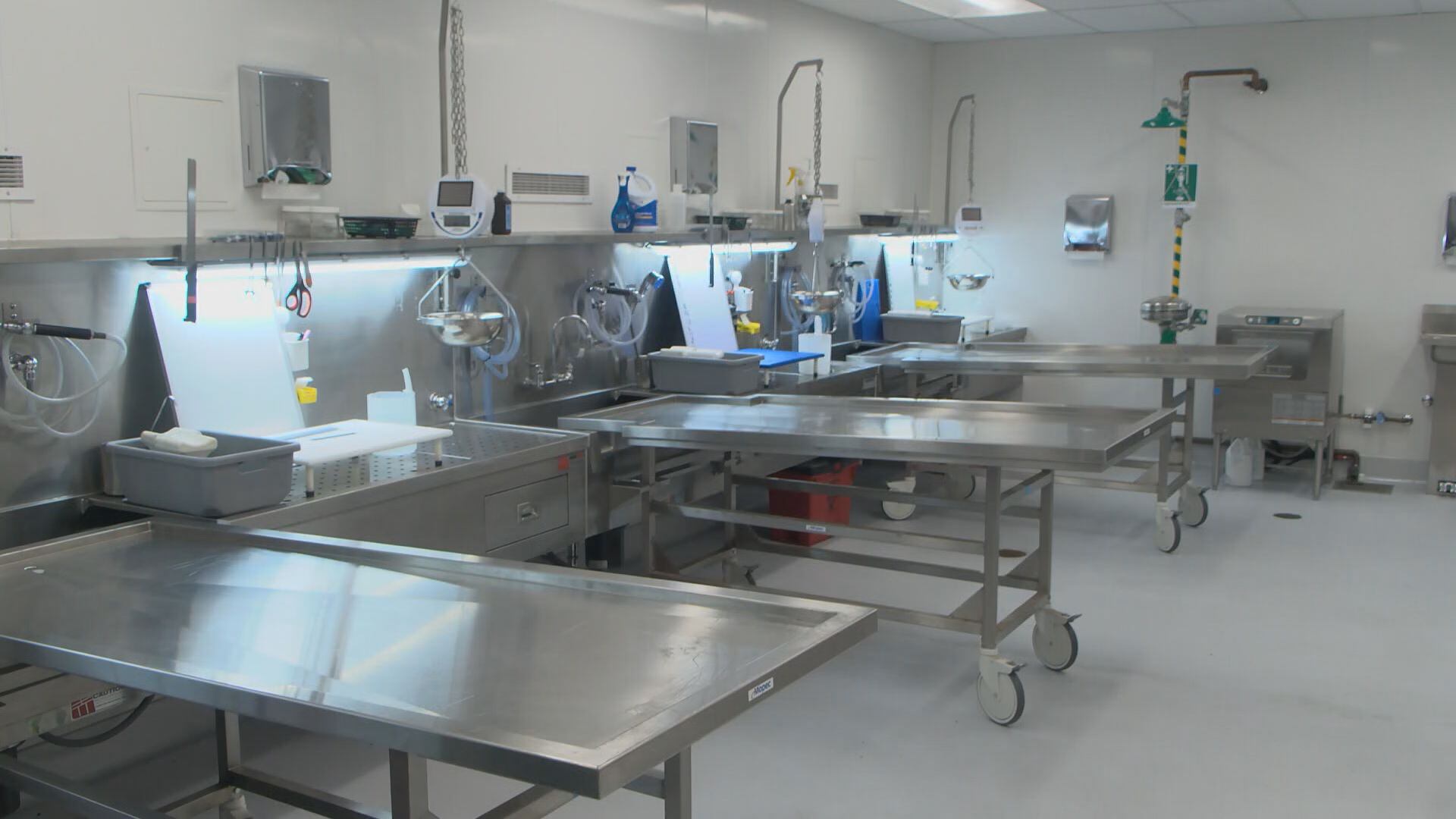 Report: Motor vehicle deaths surge on Oahu as drug fatalities climb