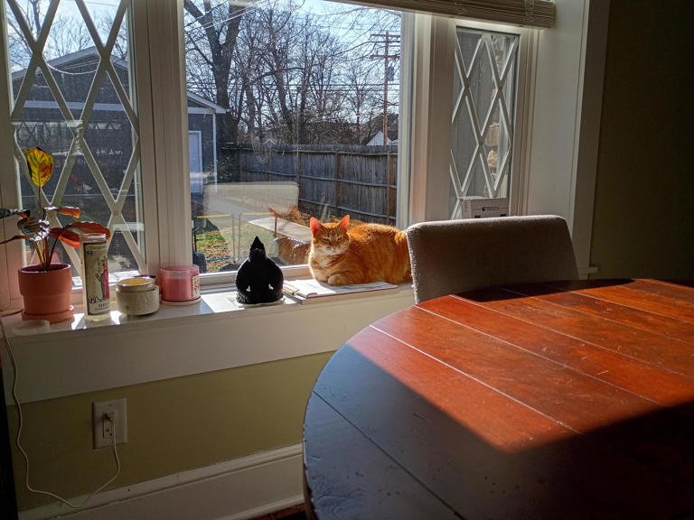 I tested the new $300 Moto G Power: Great battery life but not enough ...