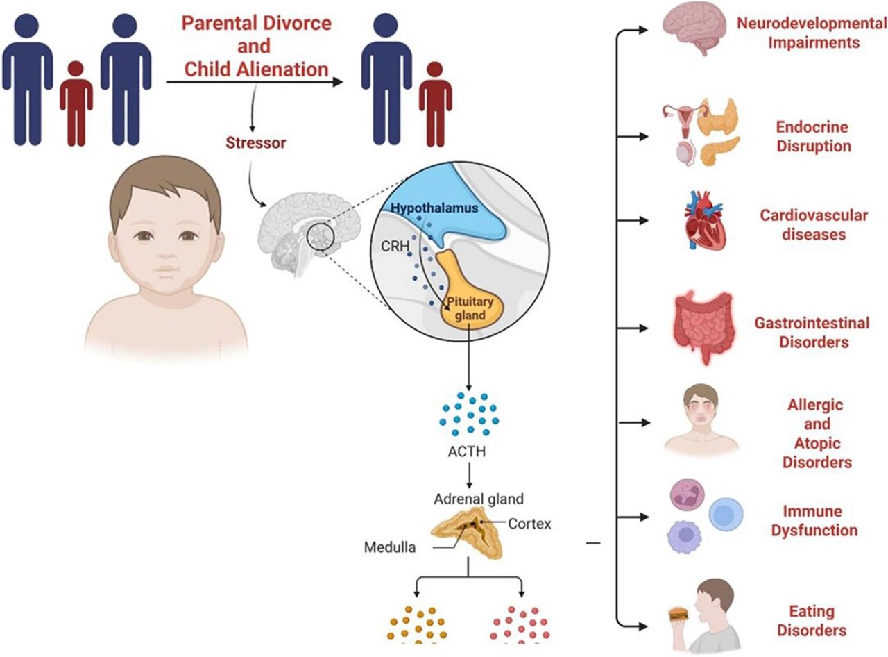 Can biology reveal parental manipulation?