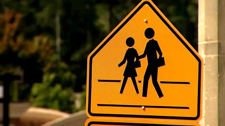 Florida bill requiring safety signals at crosswalks in school zones ...