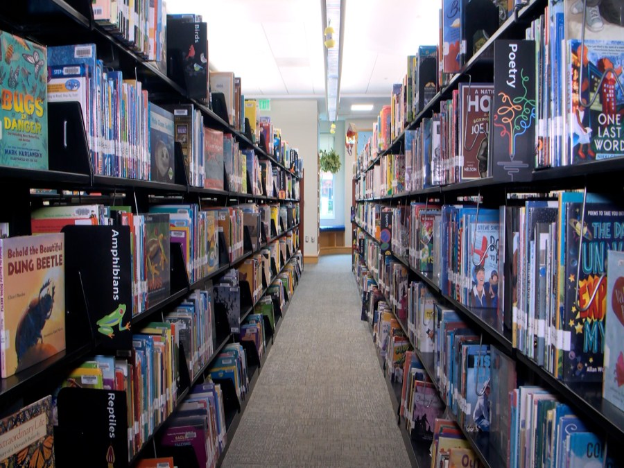 Public libraries submitting content reviews to TN Secretary of State ...