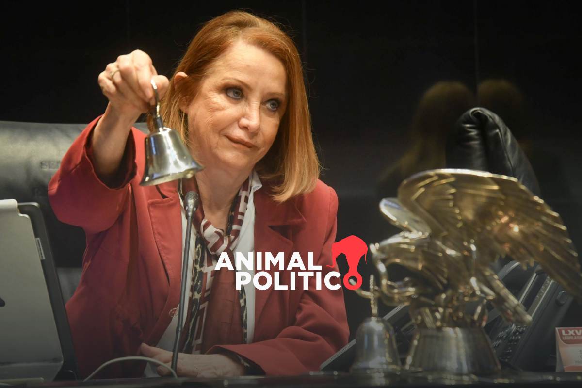 INE con autonomía o independencia, pero sin control del gobierno: Laura ...