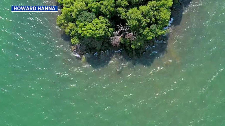 Photos: Want to own your own island on Lake Erie?
