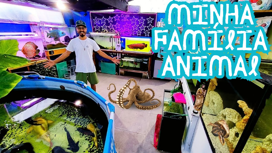 Todos os meus animais em um único vídeo