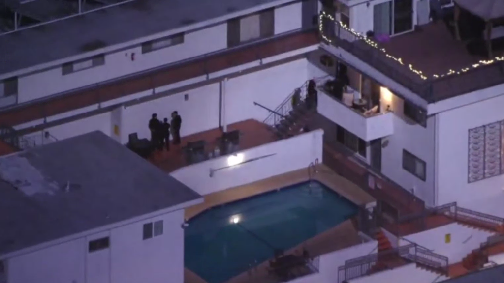 Woman hospitalized after jumping from car in Hollywood during attempted ...