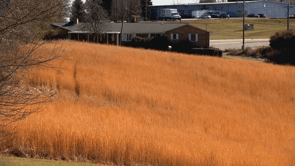 Community voices concerns as Riverside Stump Dump seeks permit for new site