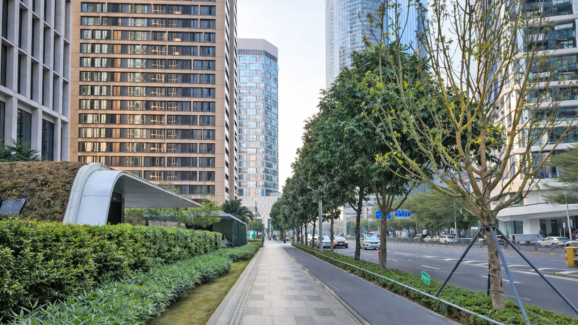 Green Pathways Surrounded by Towers Shenzhen