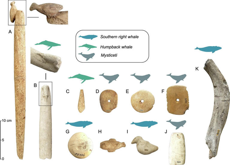 World's oldest harpoons show whaling much older than we thought