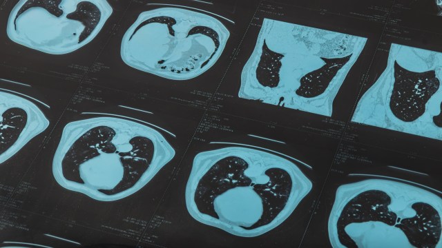 Researchers make 'bombshell' claim over disturbing discoveries made in ...