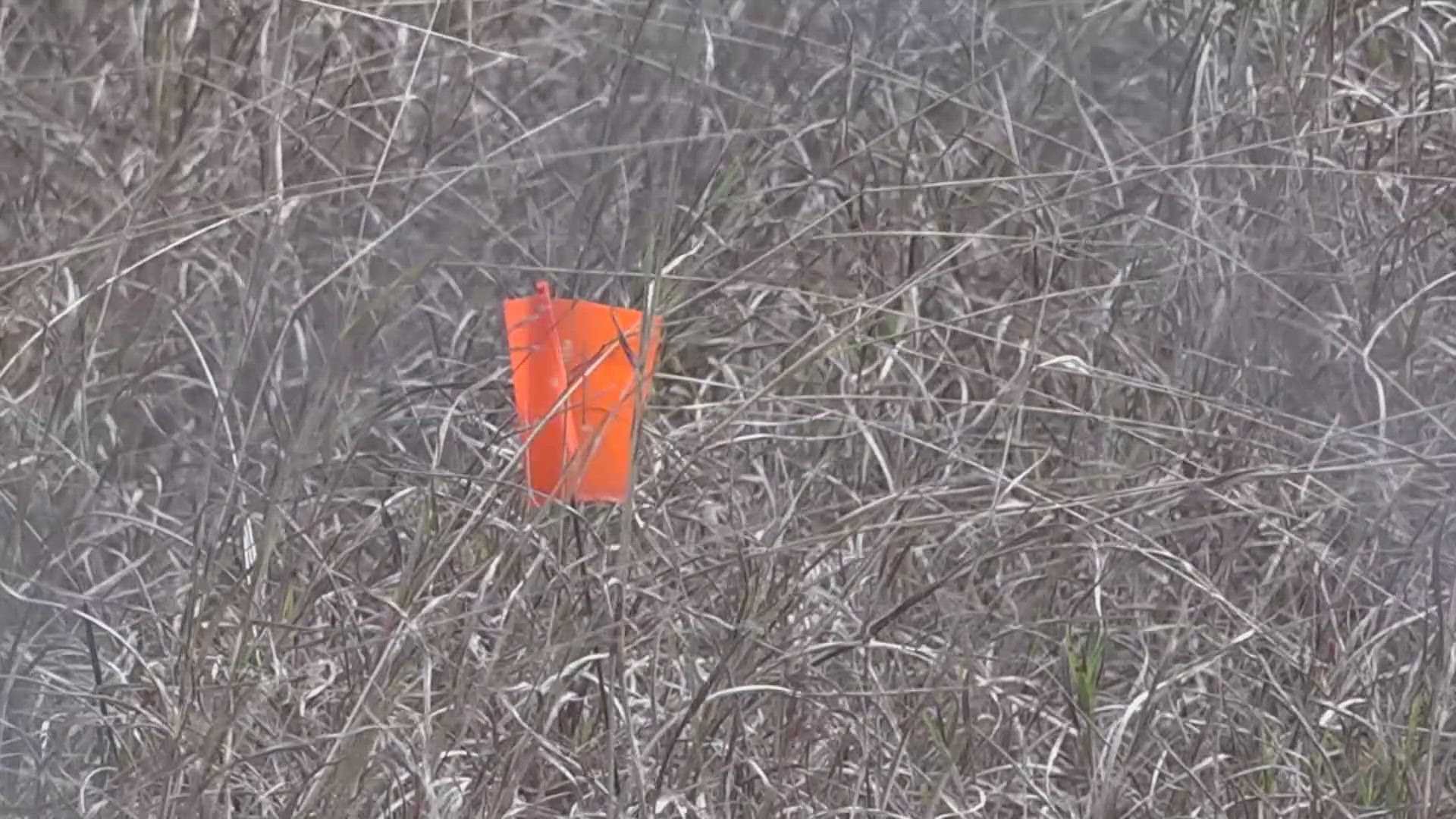 Historic Temple cemetery at risk due to I-35 expansion