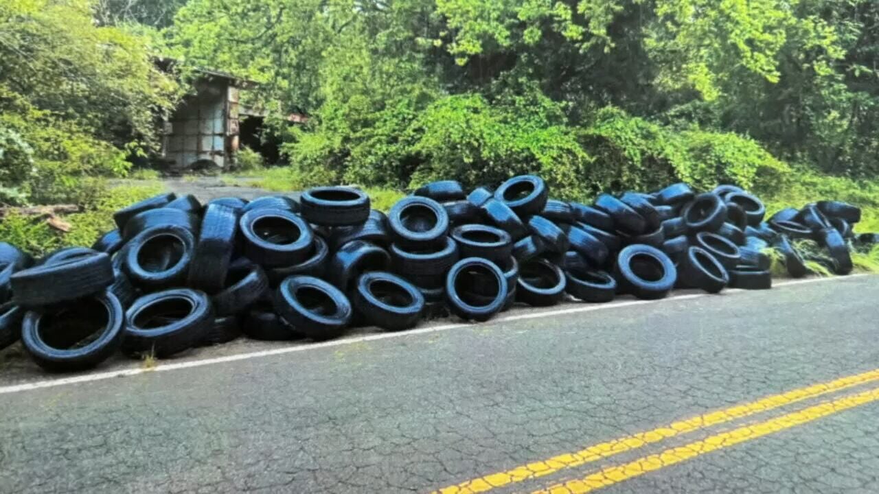 Metro Atlanta sheriff says the county is becoming a dumping site with ...