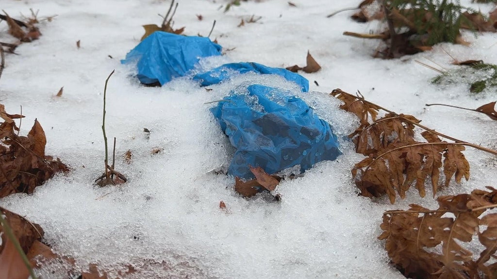 Why do so many pet owners leave dog poop bags on the ground?