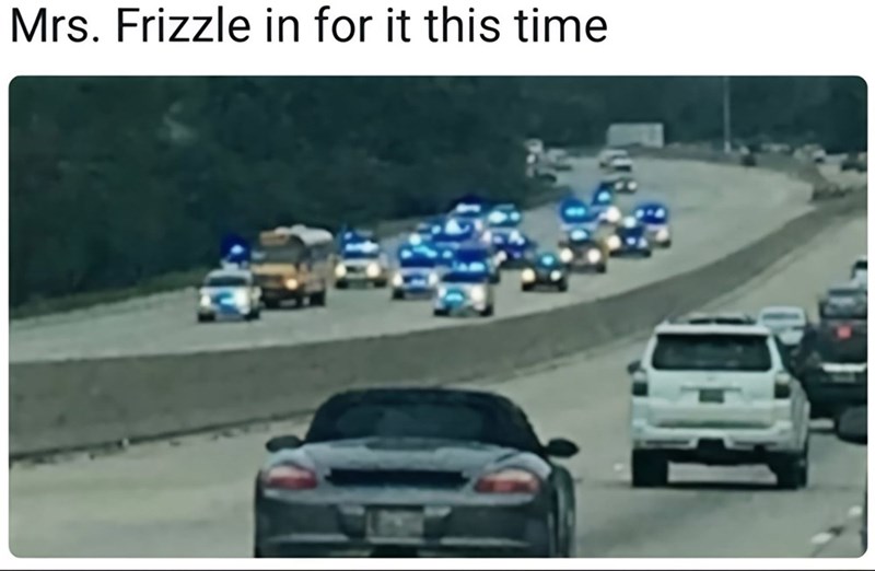 'Unfortunately, think has stopped': 34 memes to calm the mind