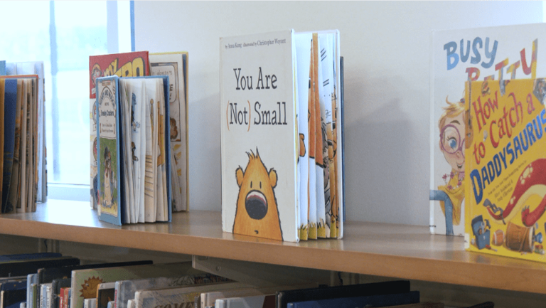 Parents urged to read 1,000 books to kids before kindergarten