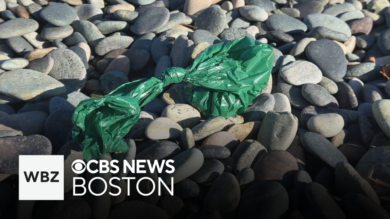 Why do people leave dog poop bags on the ground?