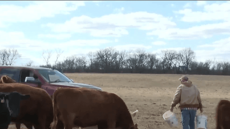 Oklahoma farmer loses lawsuit due to little-known state law deadline