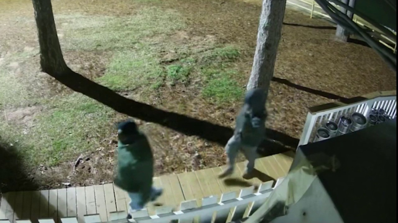 Burglars hits Dockside Marina despite security gates, guards