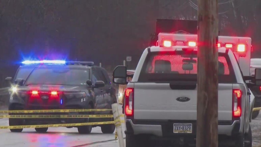 Man hit, killed by vehicle in Lower Burrell