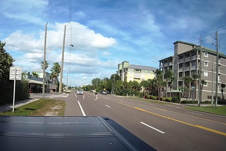 'Terrified' stranger rescues pair of toddlers who wandered onto busy ...