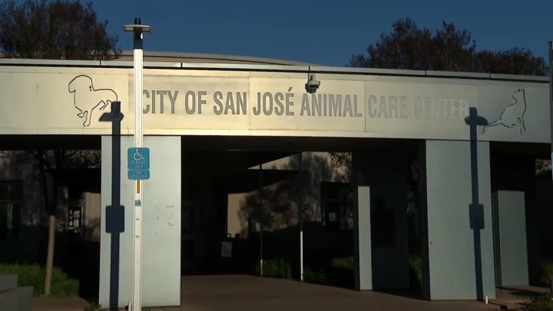 San Jose threatened with legal action over alleged neglect at animal ...