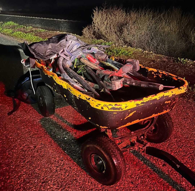 Deputies arrest theft suspect after copper wire stolen from SacRT light ...