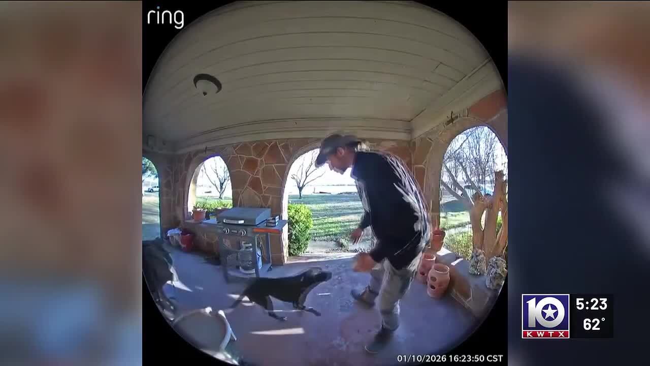 ‘I just scooped him up’: Lorena man’s reunion with lost dog caught on ...