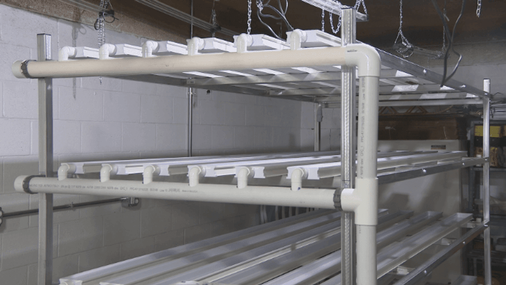 GROW Kazimour collaborates with Metro High School students to build ...