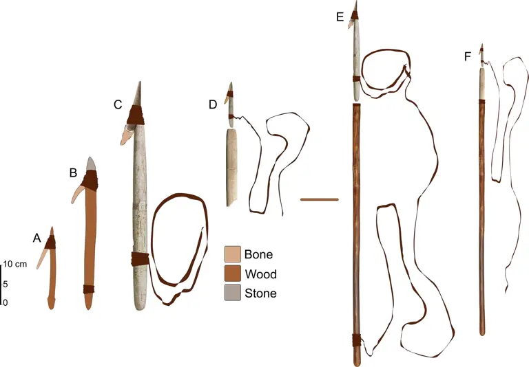 World's oldest harpoons show whaling much older than we thought