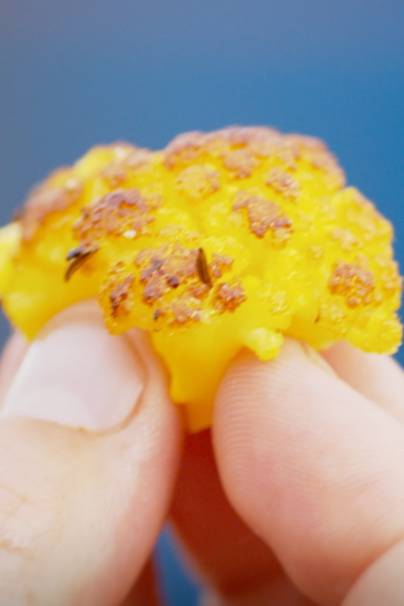 Rotisserie cauliflower with caraway and garlic butter