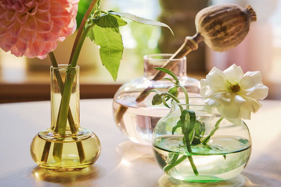 IKEA’s limited-time indoor gardening collection makes it easy to grow ...