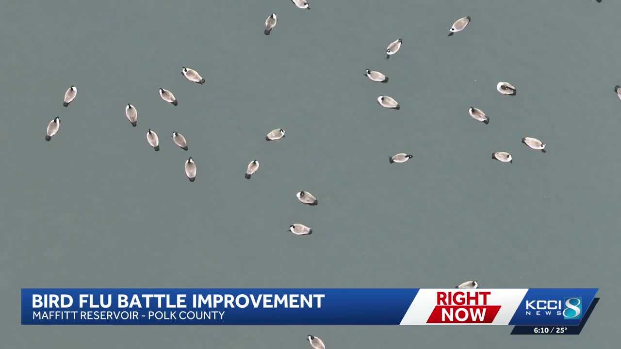 Polk County officials urge caution as bird flu cases decline