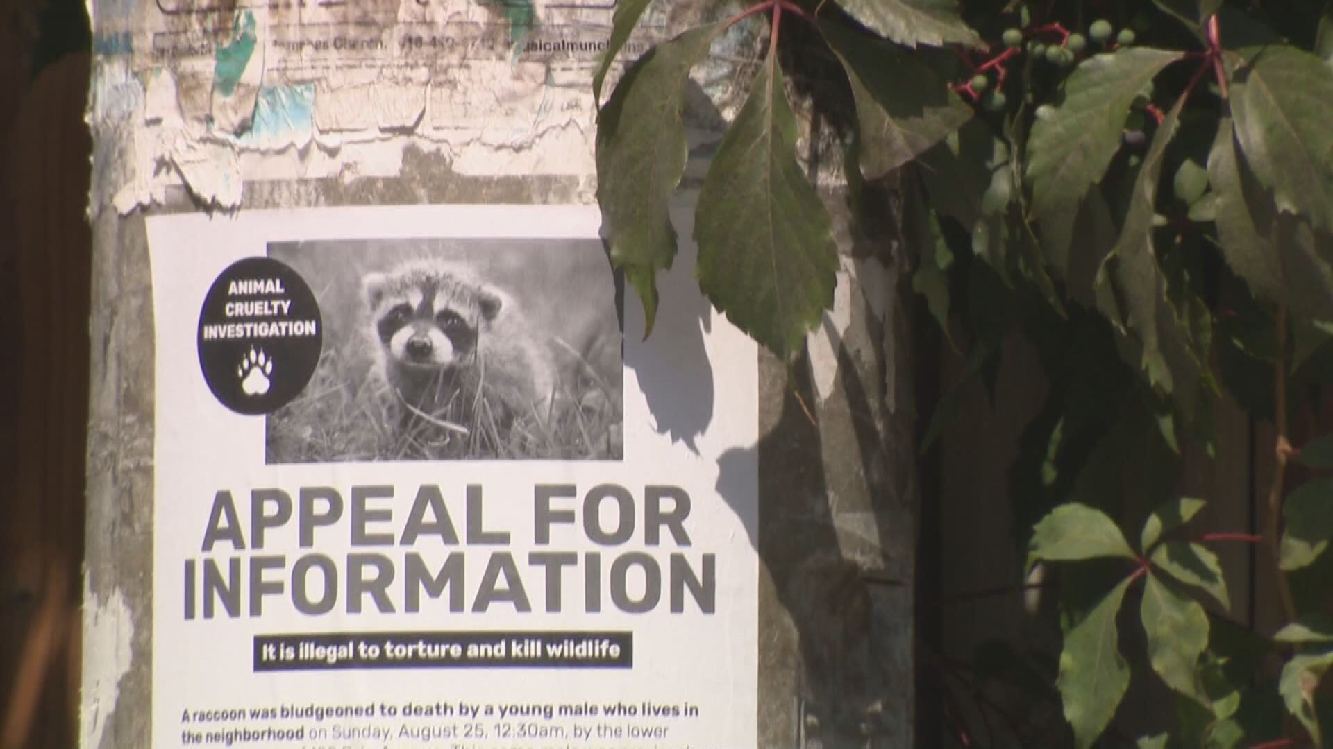 Delay forces judge to drop charges in animal cruelty case