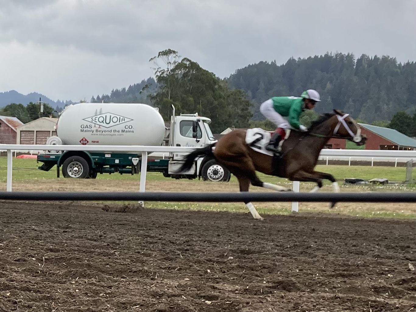No decision on Humboldt County Fair horse racing; vote punted to February