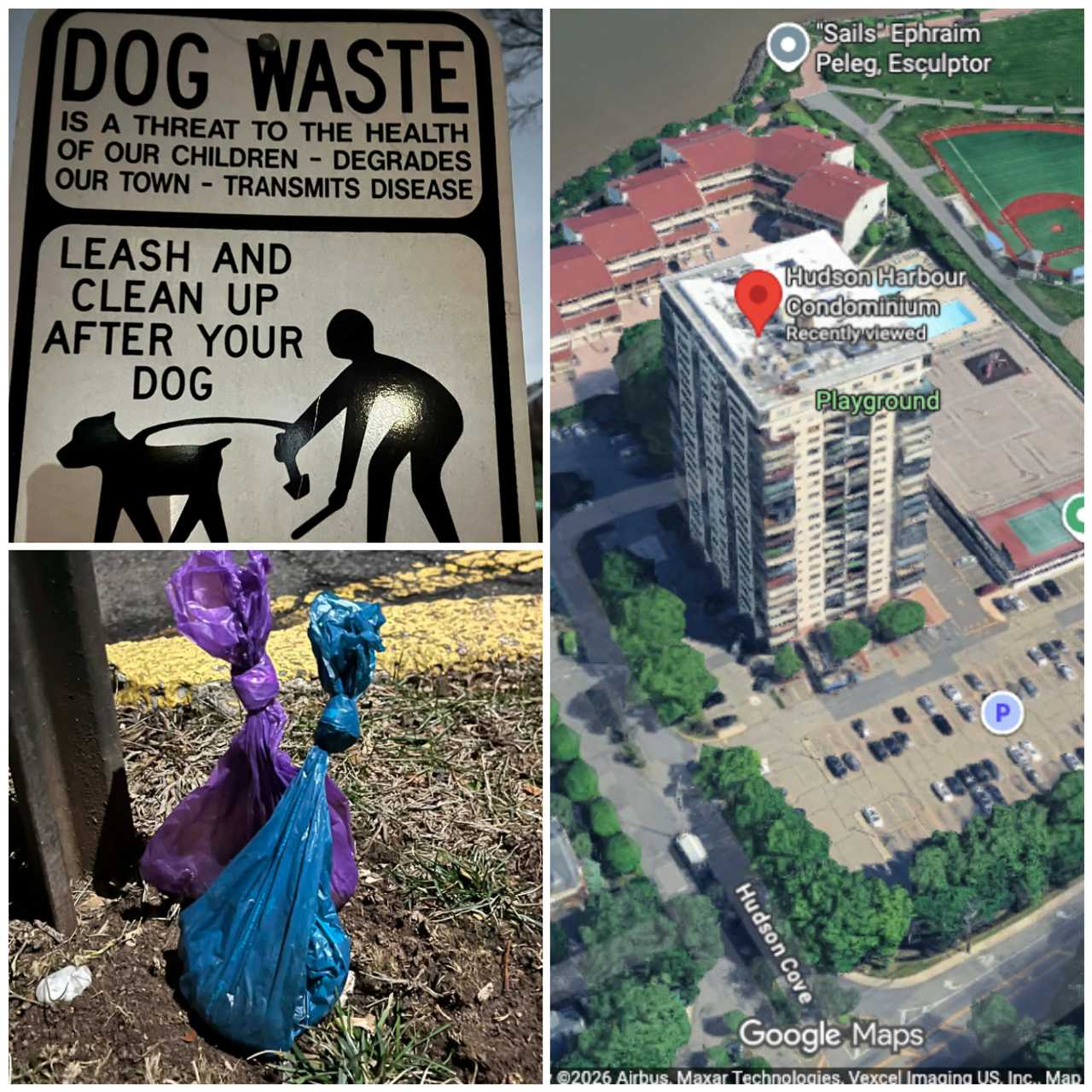 NJ condo goes full CSI on dog poop with DNA testing program