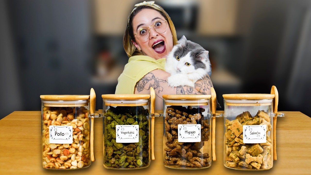 Homemade croquettes for dogs and cats your pets will love