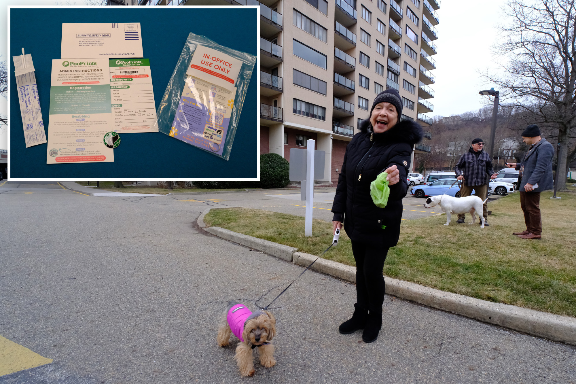Making a stink! NJ condo busts residents who fail to pick up dog poop ...