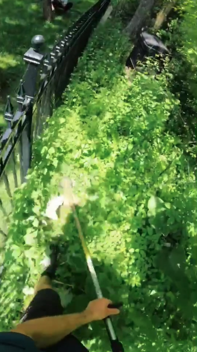 Forest trimming - clean-up work for a tidy landscape