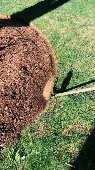 Fresh edges - clean trimming for crisp garden lines