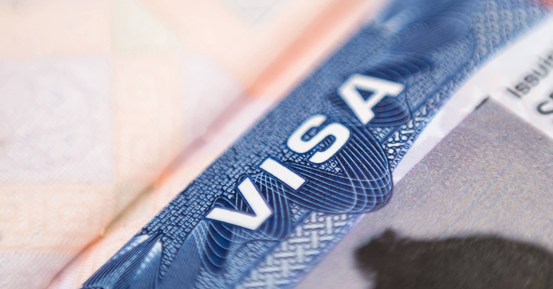 The US freezes new immigrant visas for 75 countries: See the full list