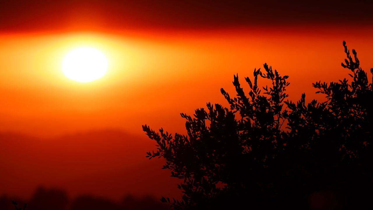 2025 was 3rd hottest year ever recorded: Climate data