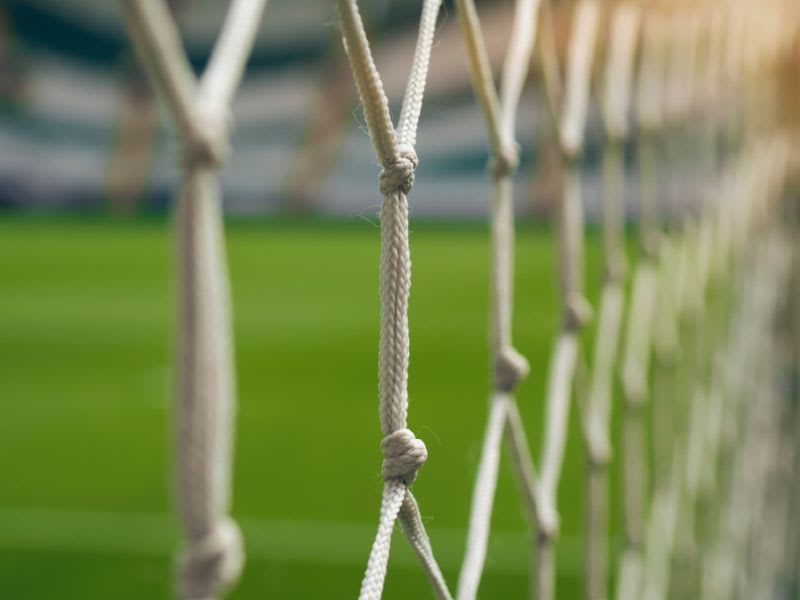 Fußball news: Prominenter Transfer: Telekom verpflichtet Wontorra für WM