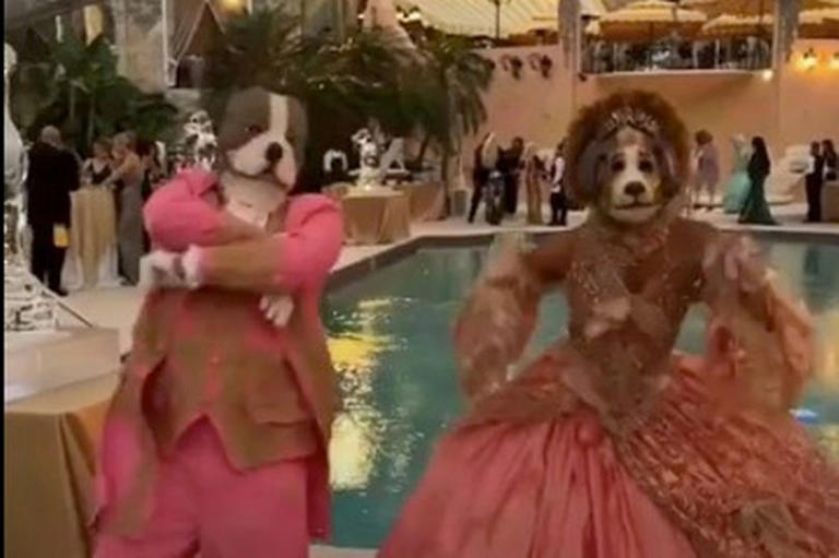 Trump's Mar-a-Lago resort ruthlessly mocked after hosting furry event