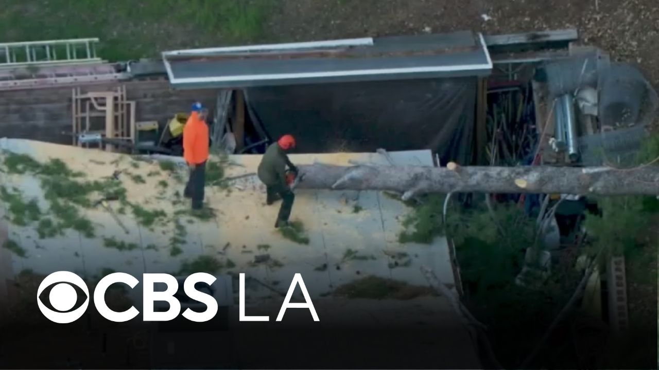 Steps to lower your risk and increase chances of insurance coverage for ...