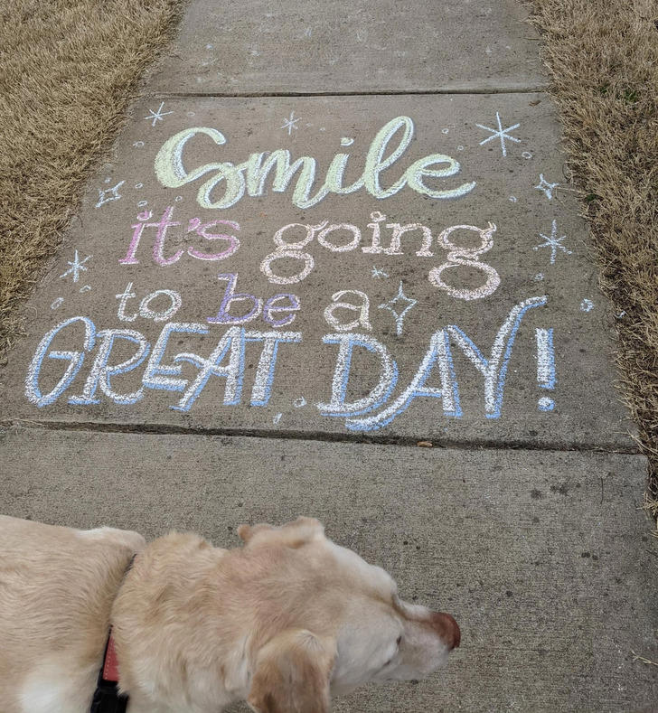 15+ people who just went for a walk and found an adventure