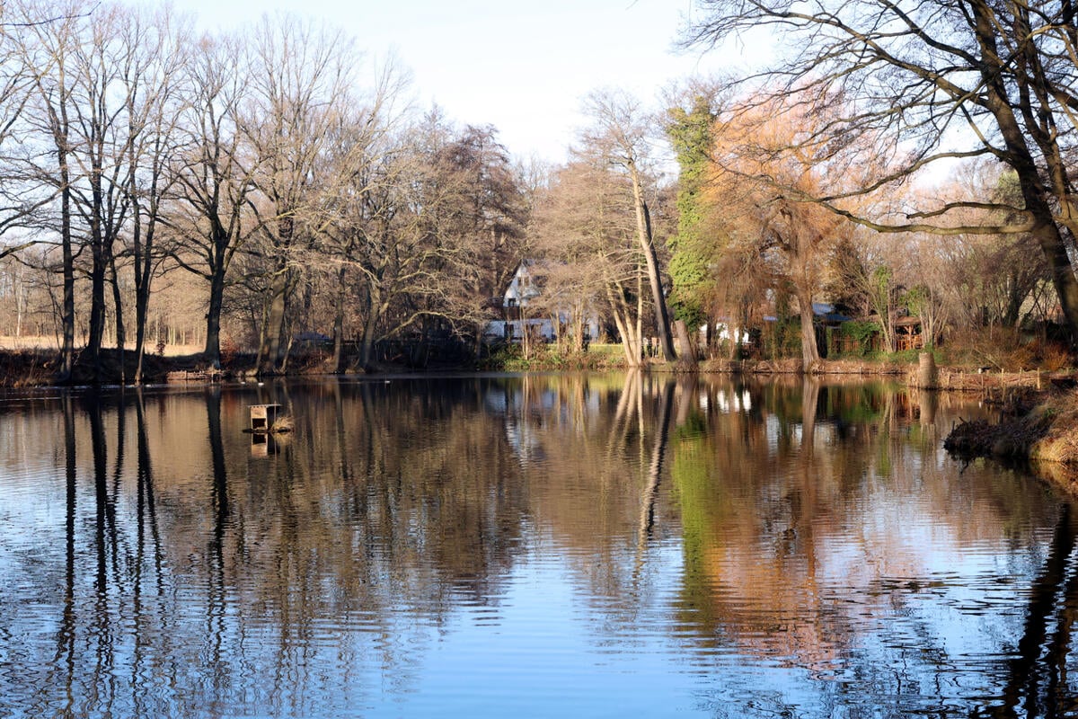 Verseuchtes Trinkwasser: Was machen die Ziegeleiteich-Anwohner jetzt?