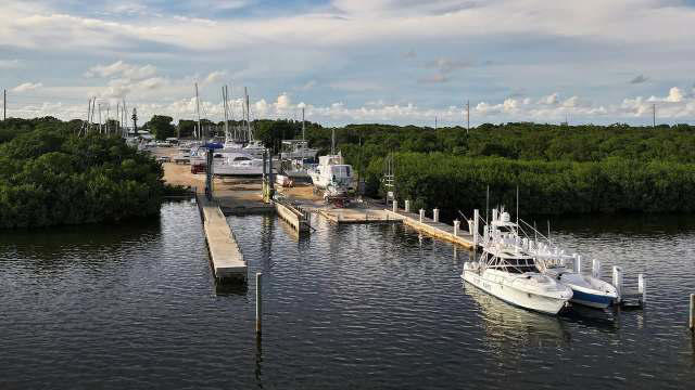 Onlookers stunned as disturbing scene unfolds in US harbor: 'Stunk like ...
