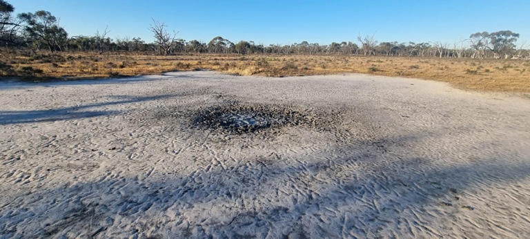 Peril beyond fence line halts 'important' project in Aussie bush