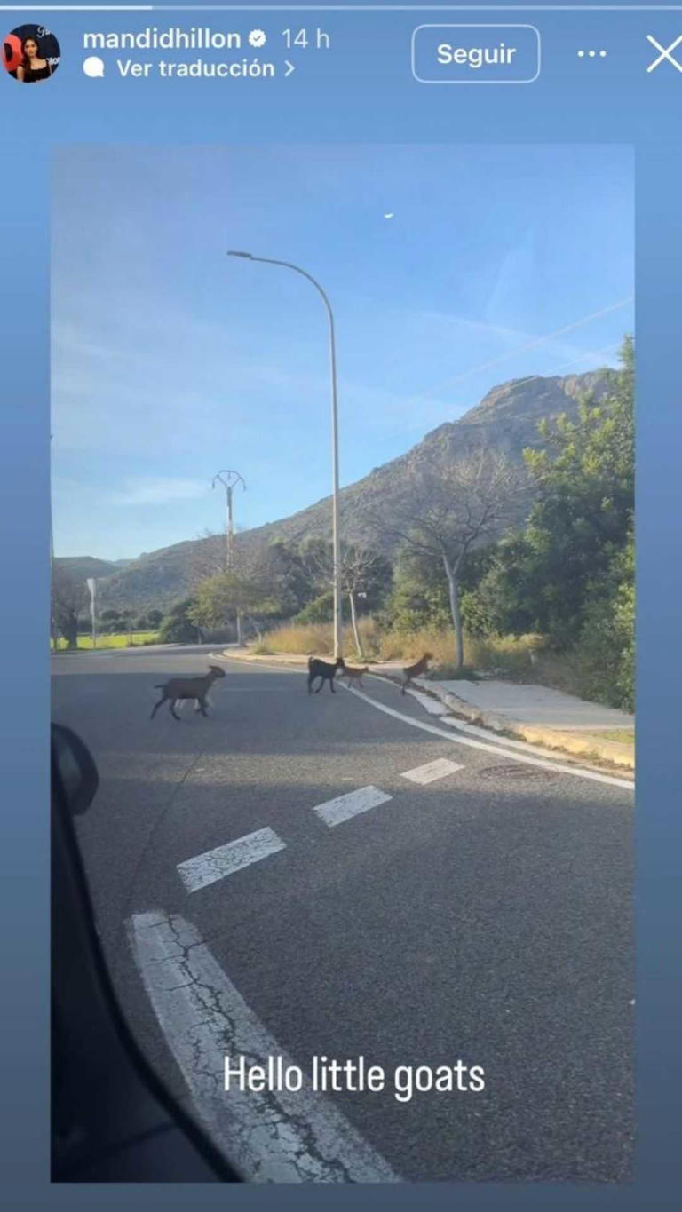 Tom Hardy’s sleeper hit Paramount+ crime series MobLand quietly ...