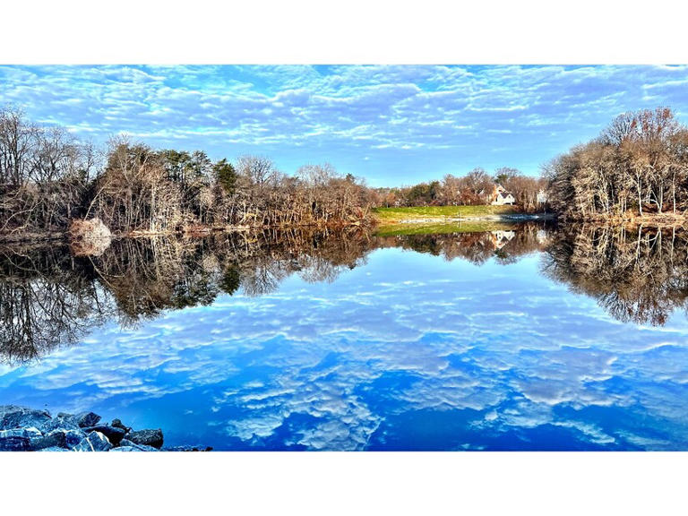 🌱 Patch AM: Injury crash investigated at Badger Drive and Galroy Lane ...