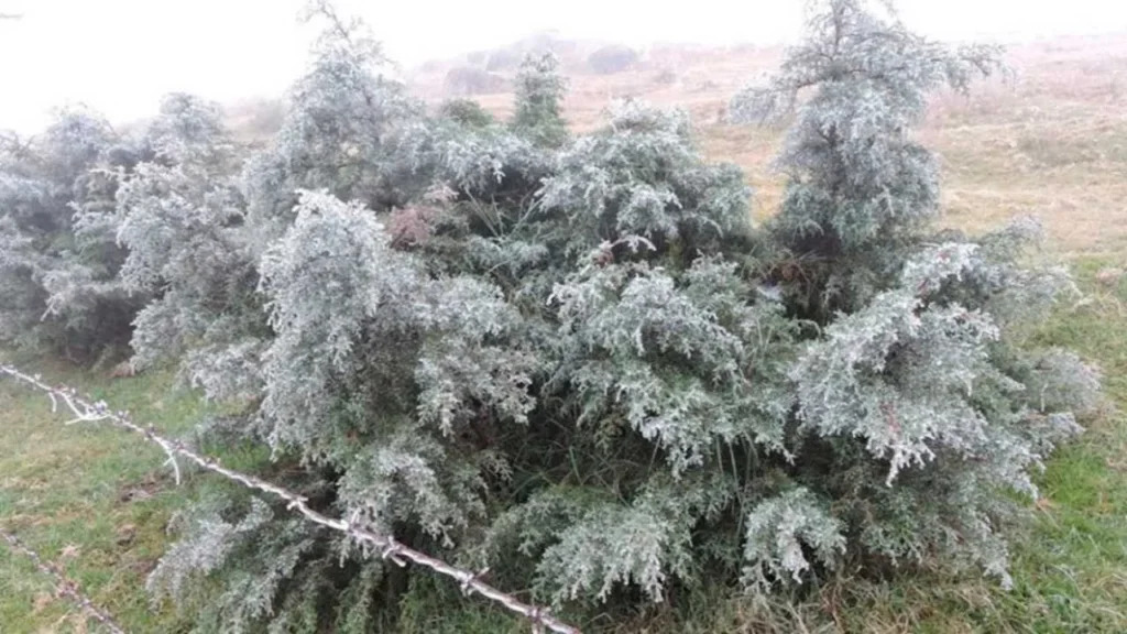 Frente frío 29 activa alerta en 35 municipios de la Mixteca de Oaxaca